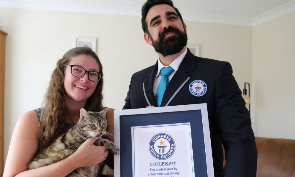 Gato de Cambridgeshire surpreende e bate o Recorde Mundial do Guinness ...
